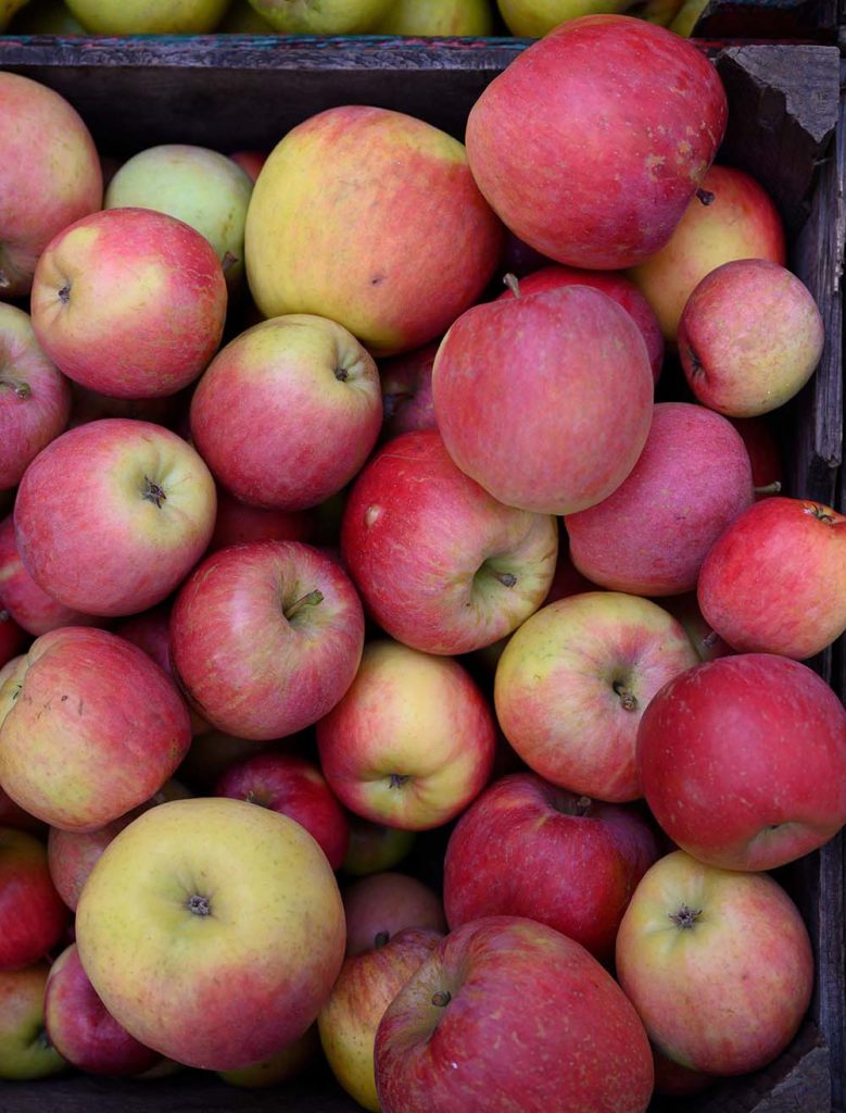 Äpfel aus dem Alten Land I Regional und saisonal einkaufen